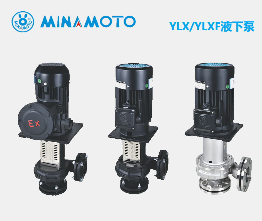 YLX/YLXF系列液下泵